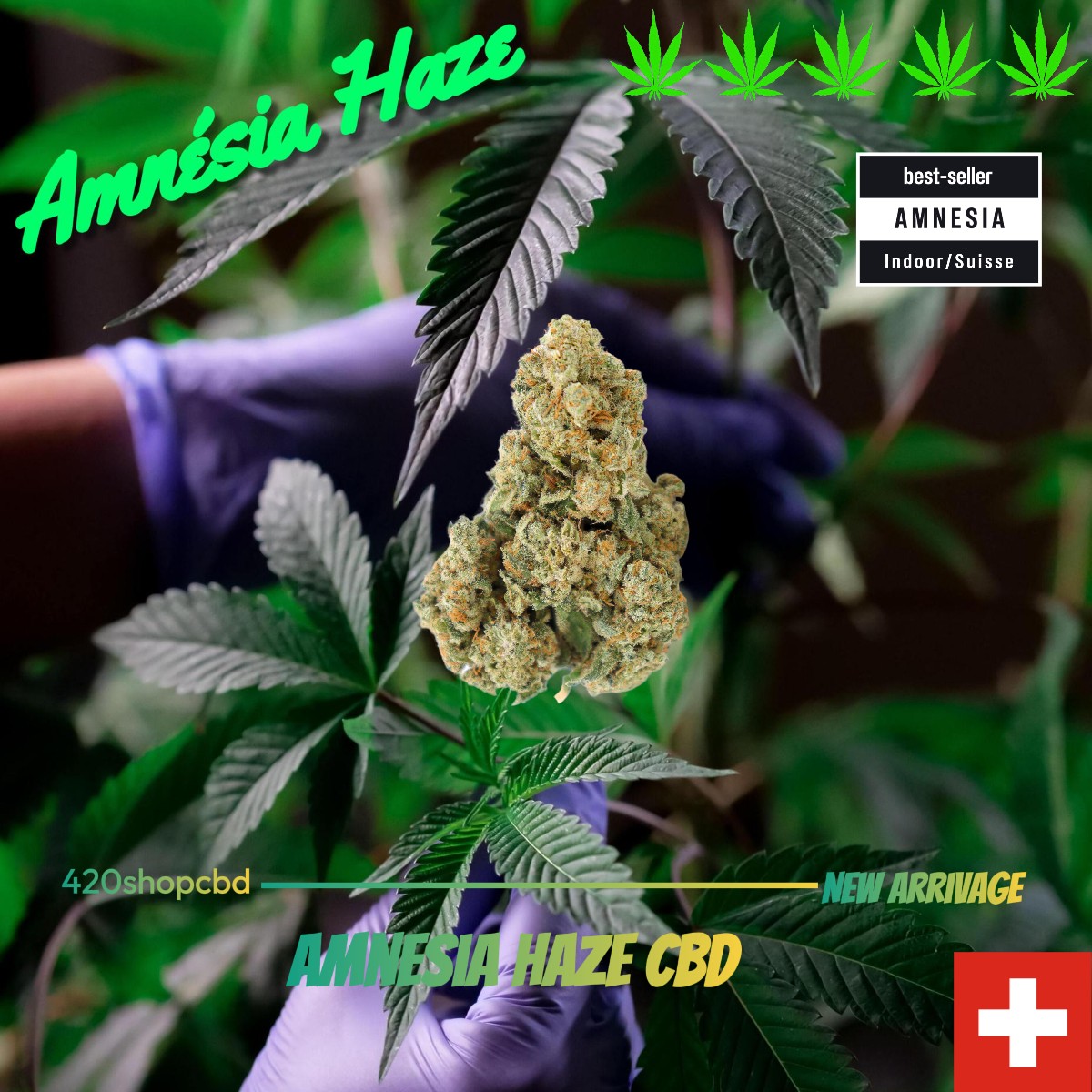 Amnésia Haze | CBD | Indoor | Suisse - 420shopcbd