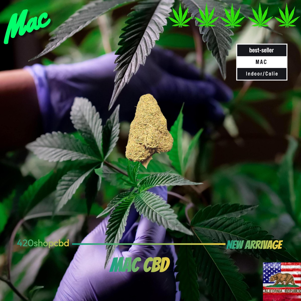 Mac | CBD | Indoor | Cali - 420shopcbd